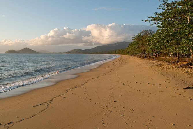 Cairns Reef/Rainforest : Daintree Rainforest & Great Barrier Reef - What We Loved About the Tour