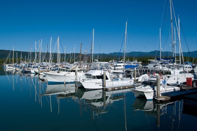 Cairns Reef/Rainforest : Daintree Rainforest & Great Barrier Reef - Practical Details and Considerations