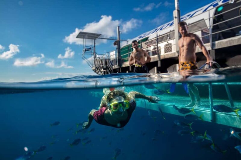 Cairns: Reef Zoom Half Day Helicopter & Snorkeling Tour - The Experience Breakdown