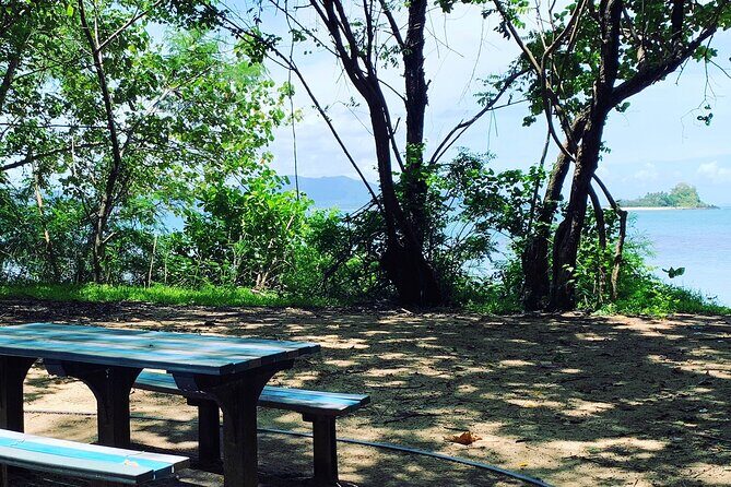 Cairns: Semi-Private | Outer Reef Snorkel & Dunk Island - Is This Tour Worth the Cost?