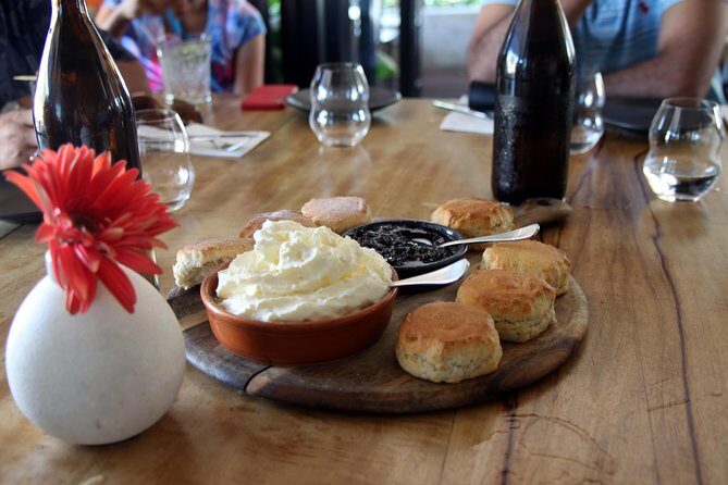 Cairns Shore Excursion: Cairns City Sights & Surrounds Tour - Who Would Enjoy This Tour?