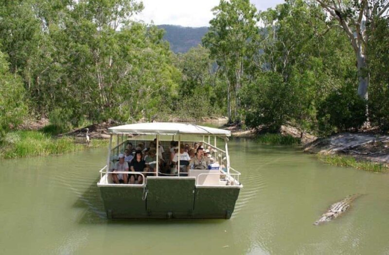 Cairns Shore Excursion: Crocodile & Wildlife Park Tour - An In-Depth Look at the Crocodile & Wildlife Park Tour