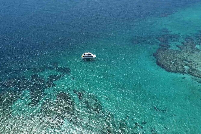 Cairns: Small Group | Outer Reef Snorkel & Dunk Island - FAQ