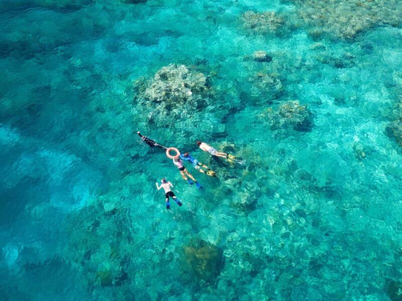 Cairns: Snorkelling and Diving Reef Day Trip - The Itinerary: What to Expect on Your Reef Day