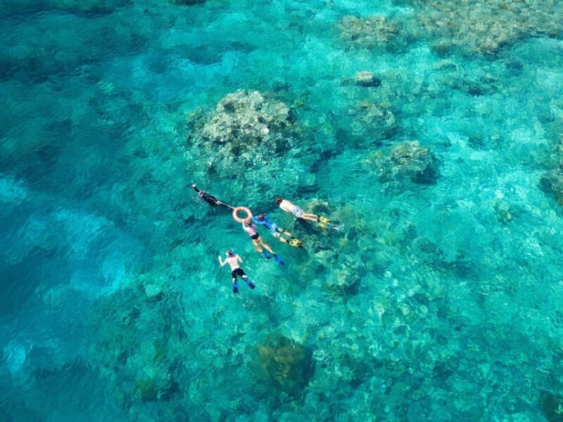 Cairns: Snorkelling and Diving Reef Day Trip - Who Will Love This Tour?