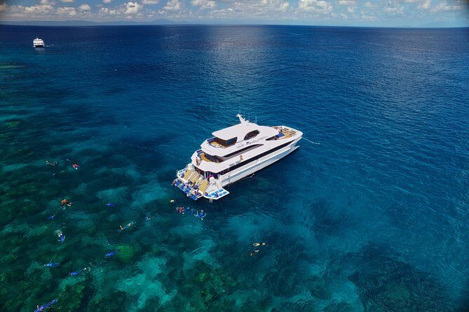 Cairns Super Saver: Reef Cruise, Daintree & Kuranda Rail/Skyrail - Key Points
