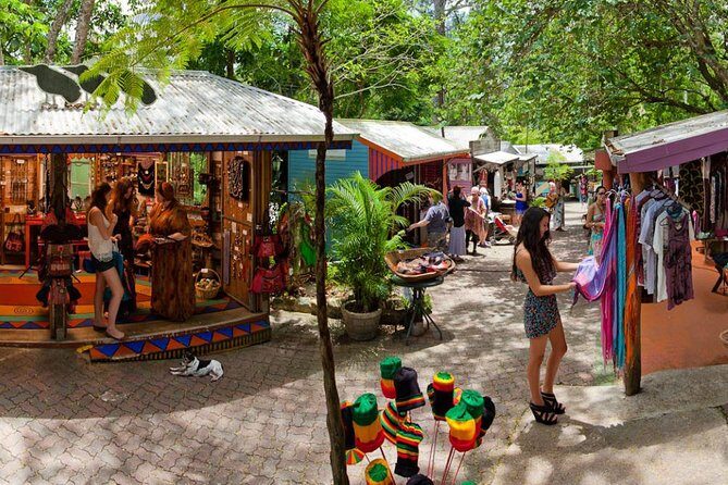 Cairns Super Saver: Reef Cruise, Daintree & Kuranda Rail/Skyrail - The Real Experiences and What Travelers Say