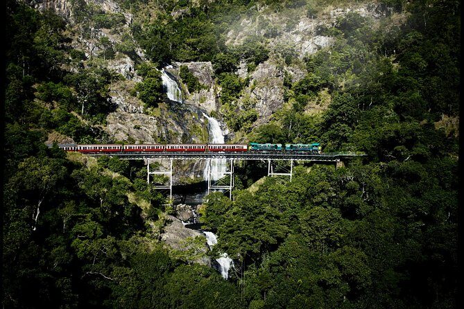 Cairns Super Saver: Reef Cruise, Daintree & Kuranda Rail/Skyrail - Practical Tips for Maximizing Your Experience