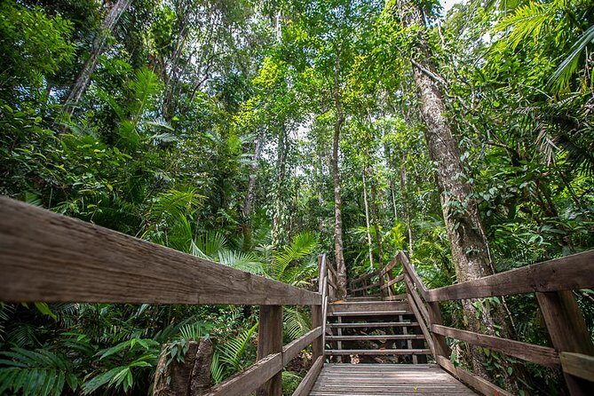 Cairns Super Saver: Reef Cruise, Daintree & Kuranda Rail/Skyrail - Final Thoughts