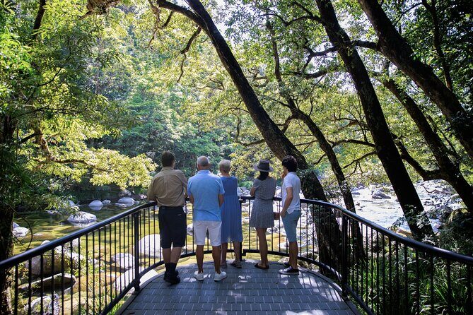 Cairns to Daintree Cape Tribulation 3 Day Tour via Port Douglas - Who Should Consider This Tour?