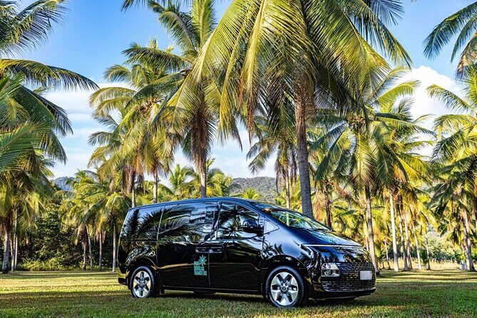 Cairns to Mission Beach ONE WAY Private Transfer 6 pax - Exploring the Route and What to Expect