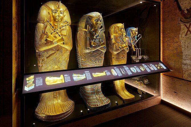 Cairns Tomb Of The Pharaohs General Admission Ticket - Who Should Consider Visiting?