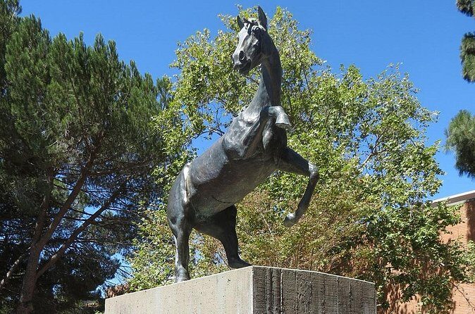 Cal Poly Scavenger Hunt and Escape Game - Practical Details and Tips