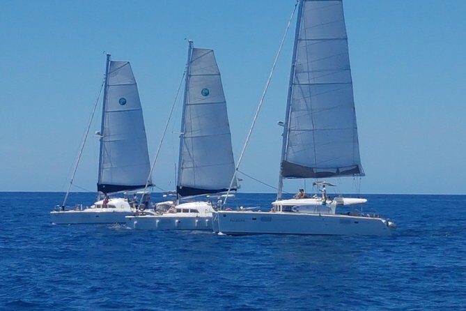 Cala d'Hort Sailing Adventure - A detailed review of the Cala d’Hort Sailing Adventure
