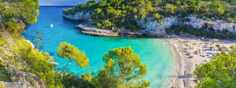 Cala Llombards o Cala Santany & Es Pontas Snorkel and SUP - Key Points