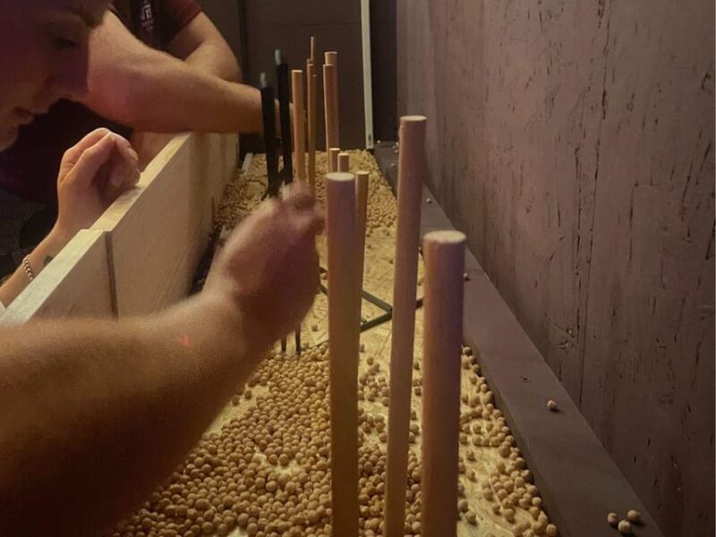 Cala Millor: indoor game "FunChallenge",duels,creative tasks - The Sum Up