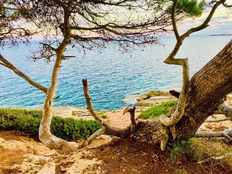 Cala Millor: real treasure hunt in natural reserve, fun walk - Setting the scene: a pirate story in the Spanish Mallorca