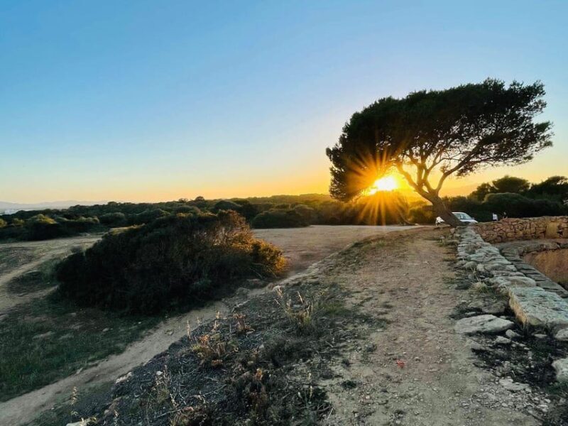 Cala Millor: real treasure hunt in natural reserve, fun walk - Who is this experience perfect for?