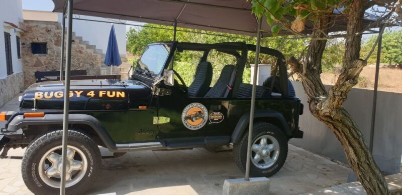 Cala Millor/Sa Coma: Guided Buggy Tour - FAQ