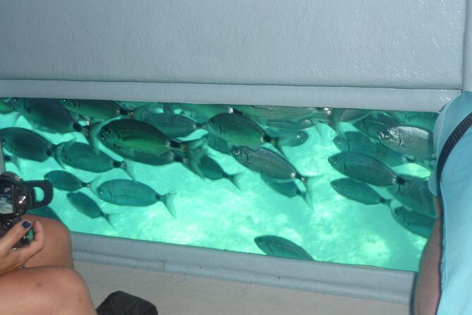 Cala Murtra: Enjoy the beauty of an underwater world - FAQ