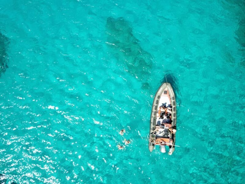 Cala Ratjada: SUP SAFARI TOUR 2H - A Closer Look at the Cala Ratjada SUP Safari