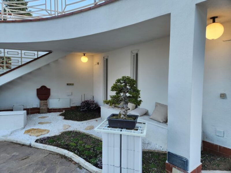 Calabria: 3-Day Bonsai Workshop with Accommodation - Introduction