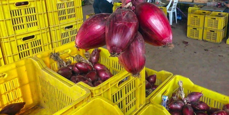Calabria: Nduja and Onion Tasting Tour Experience - Who Is This Tour Best For?