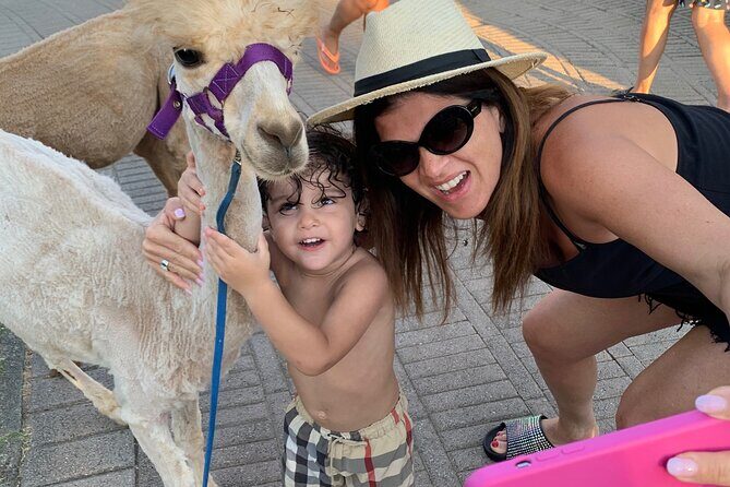 Calabrian Alpacas Sunset Beach Experiences Pizzo VV AlpacSelfies - Why This Tour Stands Out