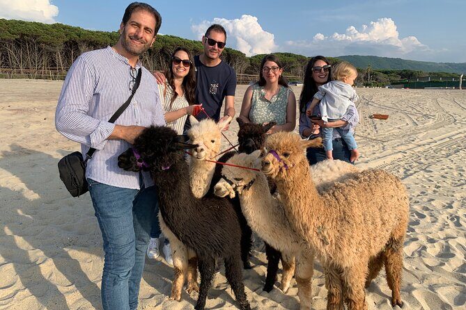 Calabrian Alpacas Sunset Beach Experiences Pizzo VV AlpacSelfies - Final Thoughts
