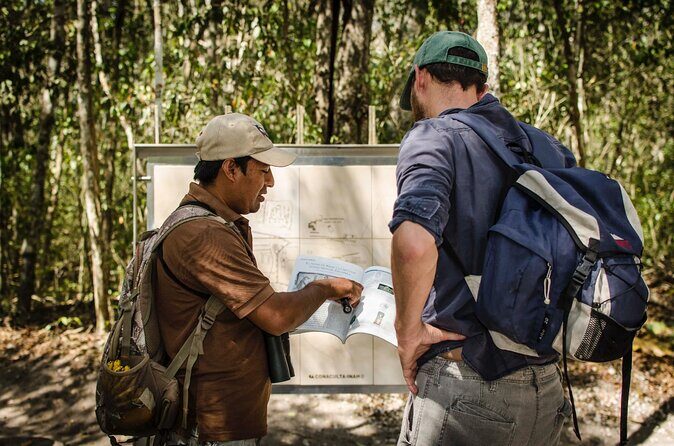 Calakmul Ancient Maya City Tour - From Campeche - FAQ