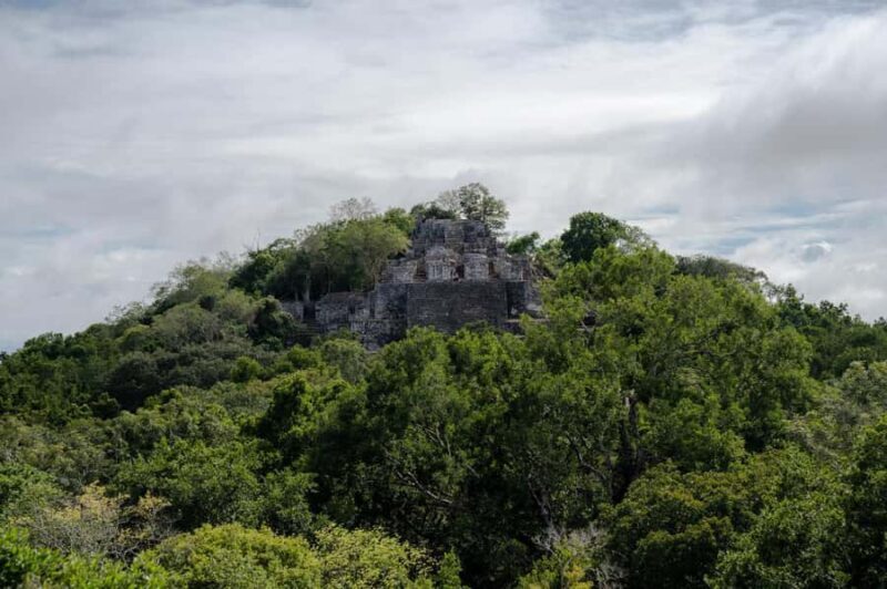 Calakmul Tour: Among Animals and Mayan History - Key Points