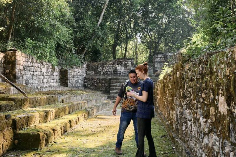 Calakmul Tour: Among Animals and Mayan History - FAQ