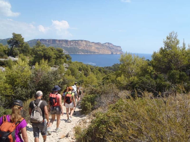 Calanques de Cassis: Hiking Day Trip - The Value and Cost