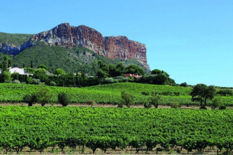 Calanques of Cassis, Aix-en-Provence & Wine Tasting Day Tour - The Itinerary: What You Can Expect
