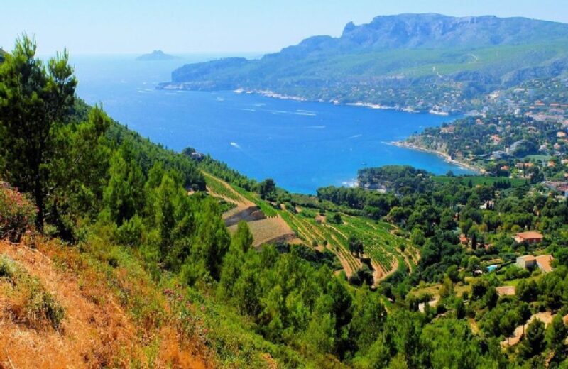 Calanques of Cassis, Aix-en-Provence & Wine Tasting Day Tour - Experience Quality & Reviews