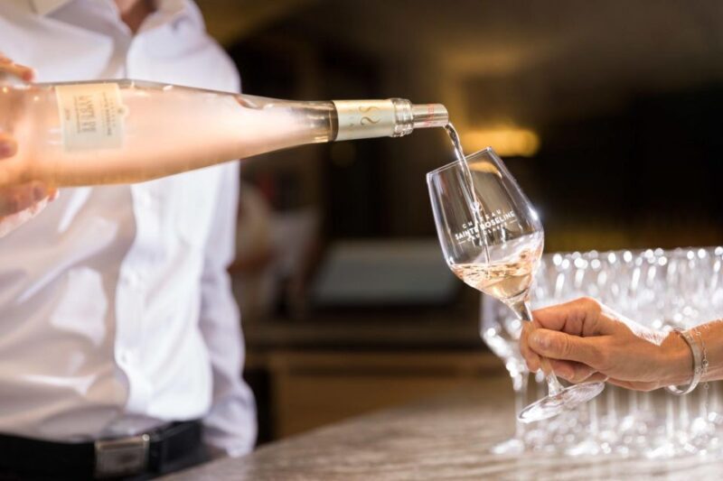 Calanques Of Cassis, the Village and Wine Tasting - Final Thoughts: Who Will Enjoy This Tour?