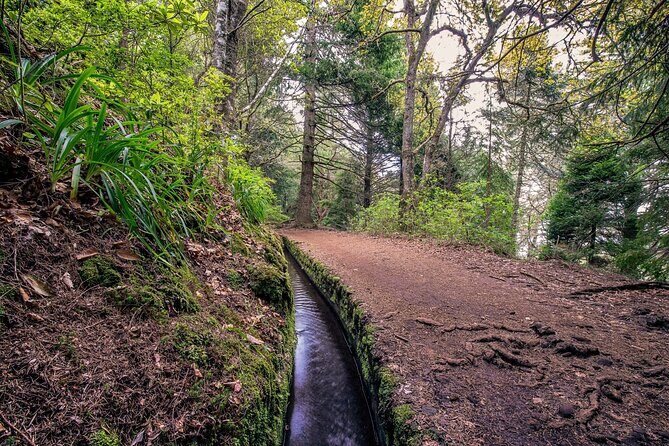 Caldeirão Verde Levadas Walk in Madeira - What to Expect from the Itinerary