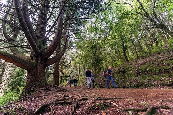 Caldeirão Verde Levadas Walk in Madeira - Traveler Experiences: The Good and the Not-So-Good