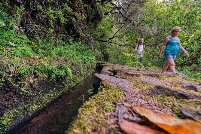 Caldeirão Verde Levadas Walk in Madeira - Final Thoughts on Value and Authenticity