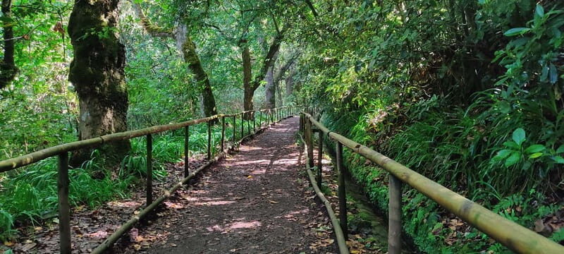 Caldeirão Verde: Queimadas PR9 Transfer and Self-Guided Hike - Authentic Experiences and Travelers’ Feedback