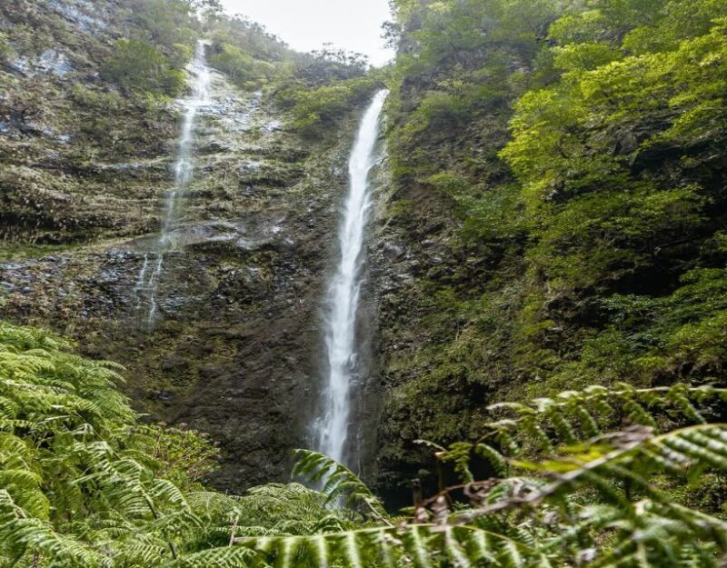 Caldeirão Verde: Queimadas PR9 Transfer and Self-Guided Hike - Practical Tips for Your Hiking Adventure
