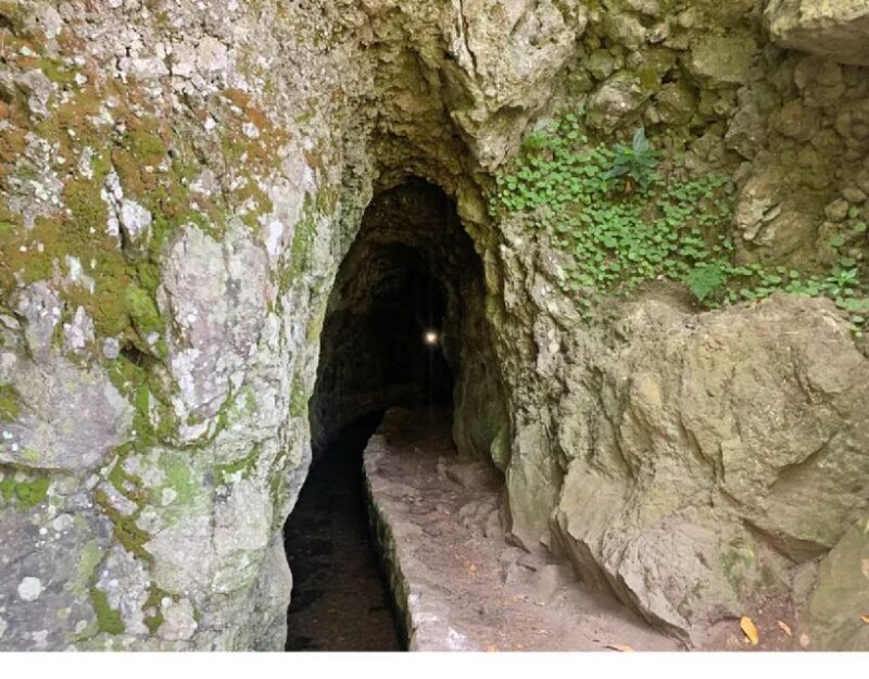 Caldeirão Verde: Queimadas PR9 Transfer and Self-Guided Hike - The Sum Up: Who Will Find This Tour Most Valuable?