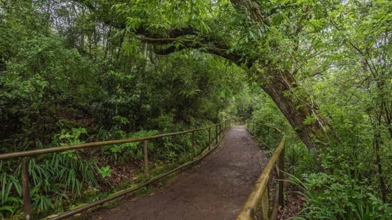 Caldeirão Verde: Queimadas PR9 Transfer Hike - An In-Depth Look at the Caldeirão Verde Hike