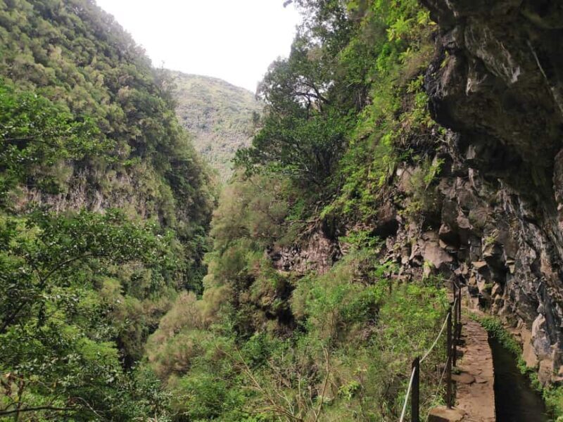 Caldeirão Verde: Queimadas PR9 Transfer Hike - Wrapping It Up