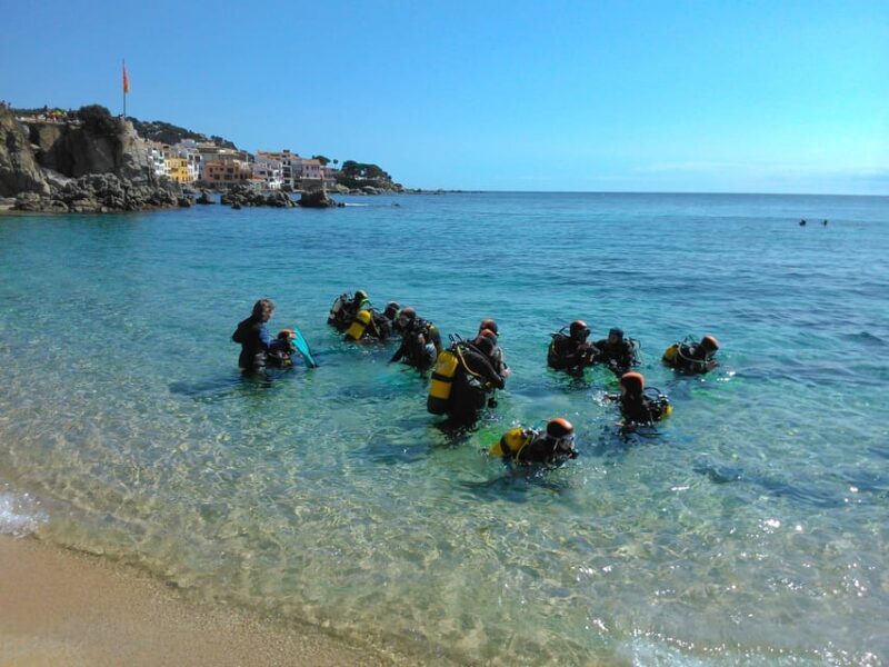 Calella de Palafrugell : Discover Scuba Diving Experience - Introduction: What’s This Experience All About?
