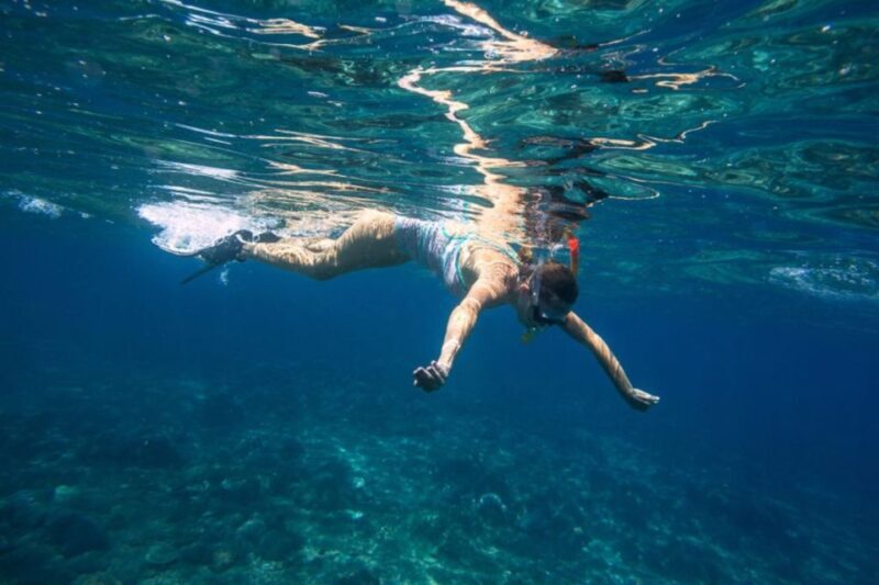 Caleta de Fuste: Catamaran Sailing Experience - Key Points