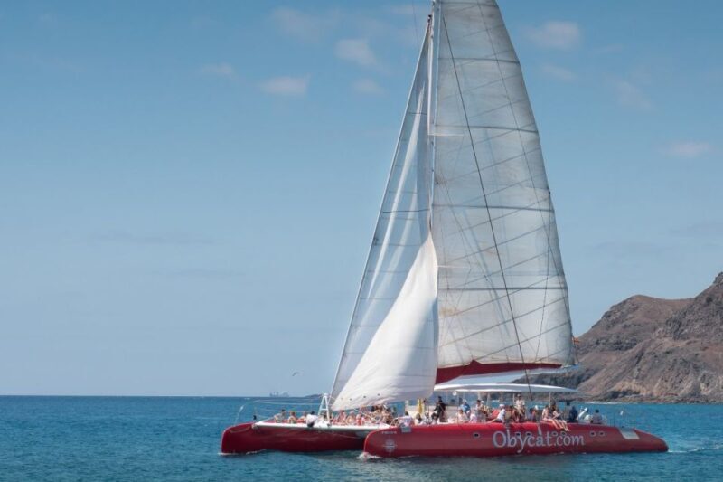 Caleta de Fuste: Catamaran Sailing Experience - The Itinerary: What to Expect