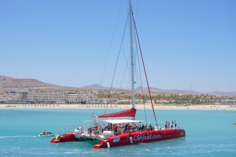 Caleta de Fuste: Catamaran Sailing Experience - Authentic Experiences and Guest Reviews