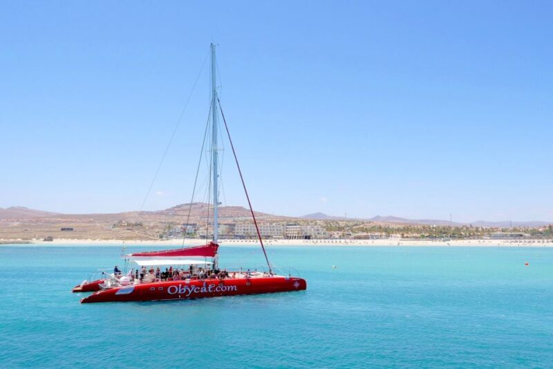 Caleta de Fuste: Catamaran Sailing Experience - Who Is This Tour Best For?