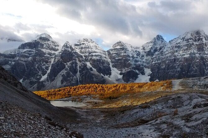 Calgary Airport Shuttle to Banff & Lake Louise - Final Thoughts: Who Will Benefit Most?